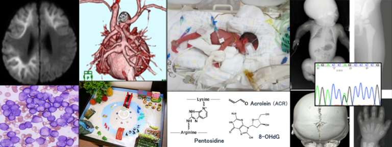 Pediatrics - GRADUATE SCHOOL OF MEDICINE DENTISTRY AND PHARMACEUTICAL ...