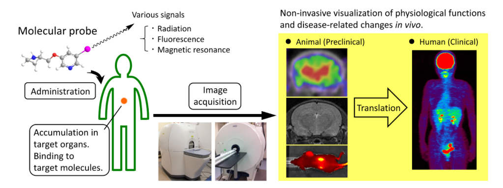Biofunctional Imaging Analysis - GRADUATE SCHOOL OF MEDICINE DENTISTRY ...